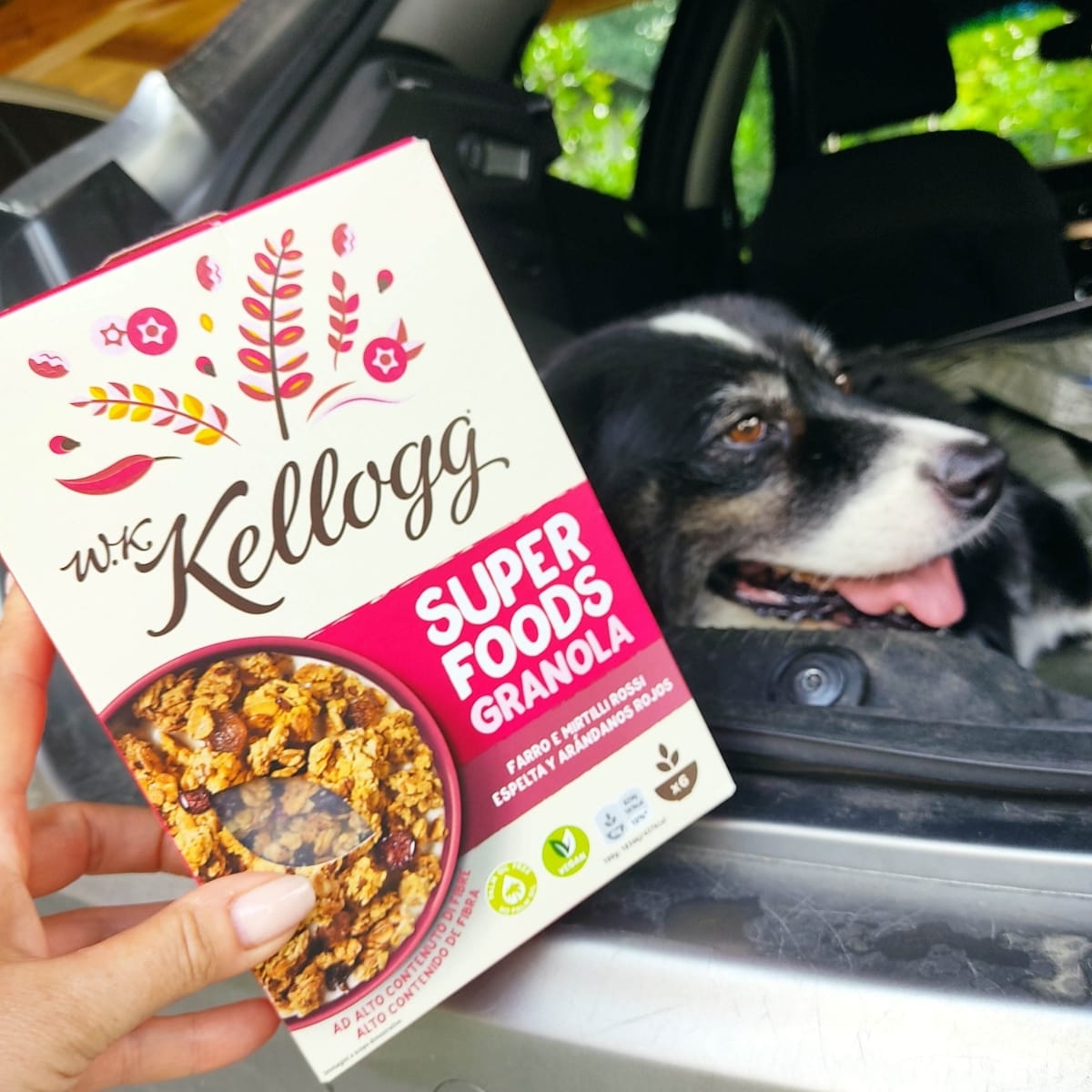 Super Food Granola from Kellogg's - Vegan Product Reviews & Ratings ...