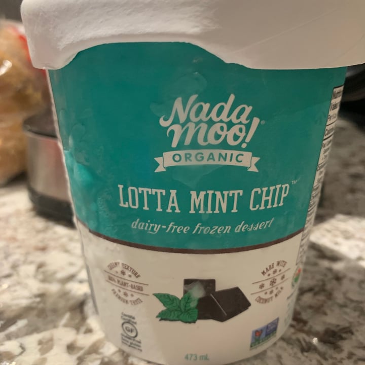 NadaMoo! Lotta Mint Chip Dairy Free Frozen Desert Review | abillion