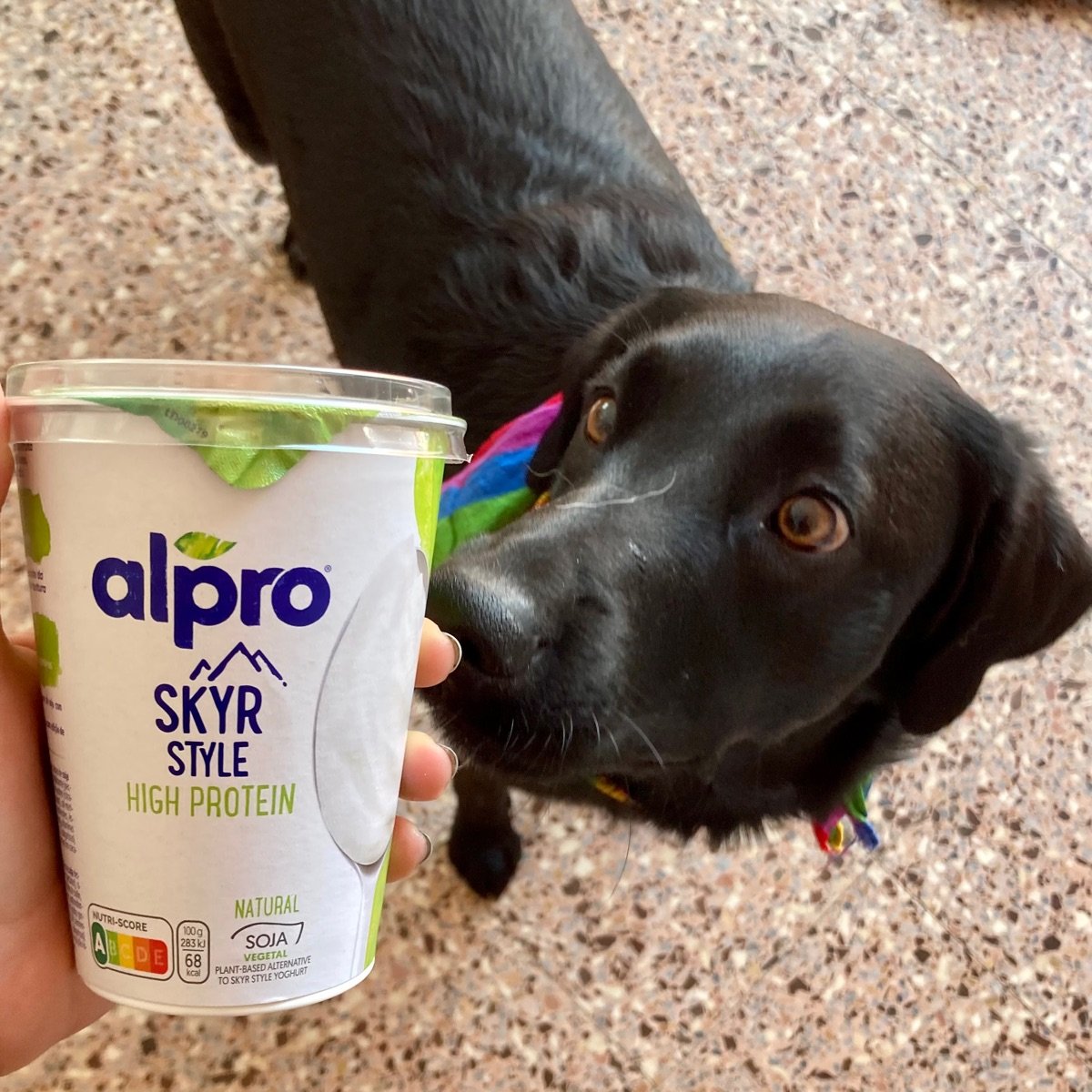 Alpro Skyr Style from Alpro - Vegan Product Reviews & Ratings | abillion