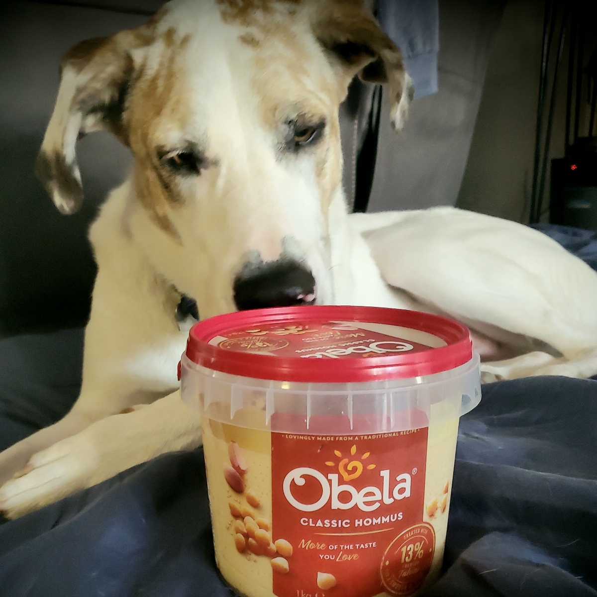 Hummus classic 1kg from Obela - Vegan Product Reviews & Ratings | abillion