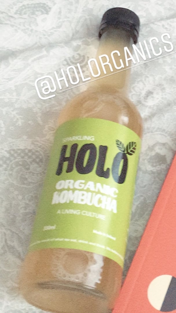 Organic Kombucha from Holo - Vegan Product Reviews & Ratings | abillion