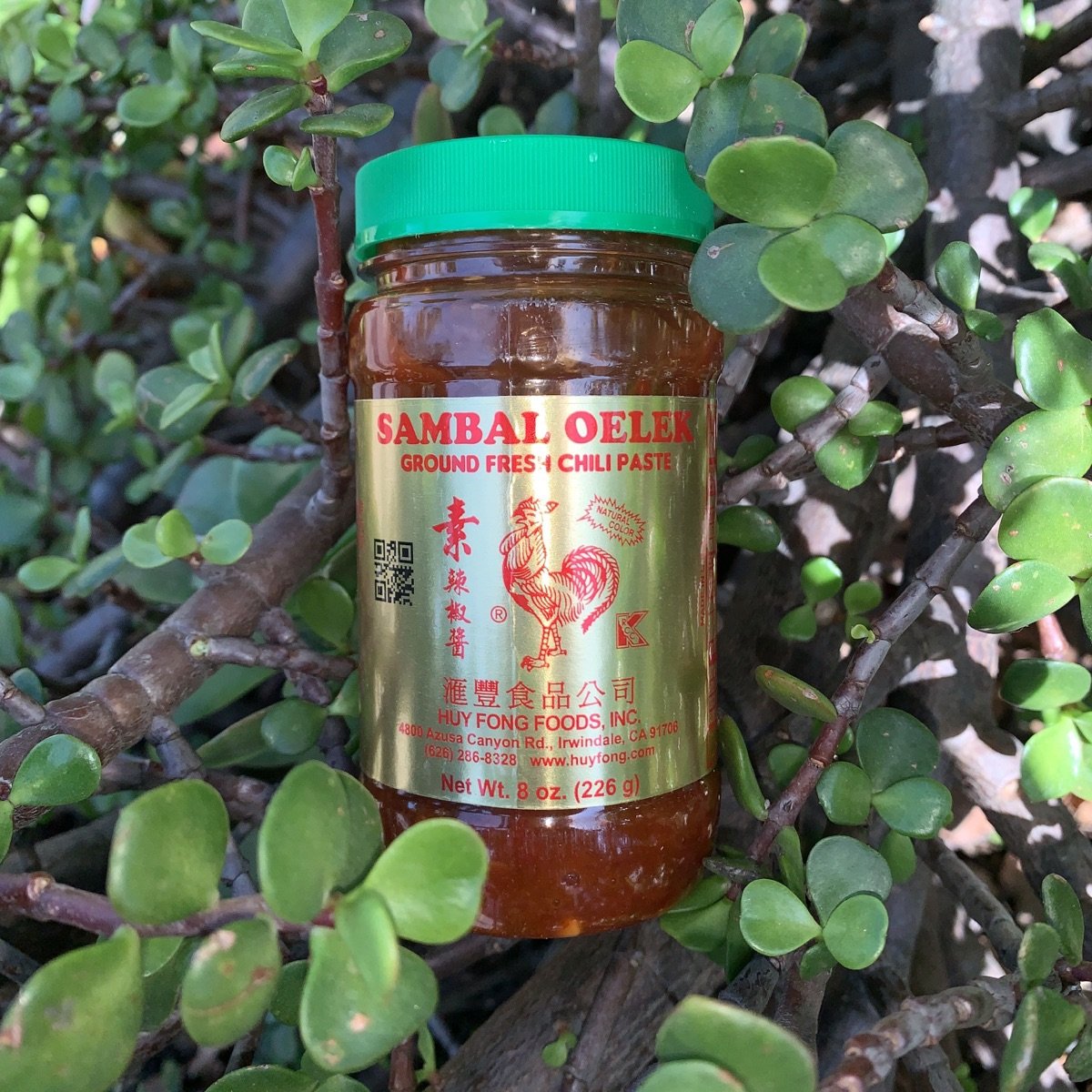 Ground Fresh Chili Paste from Sambal oelek - Vegan Product Reviews ...