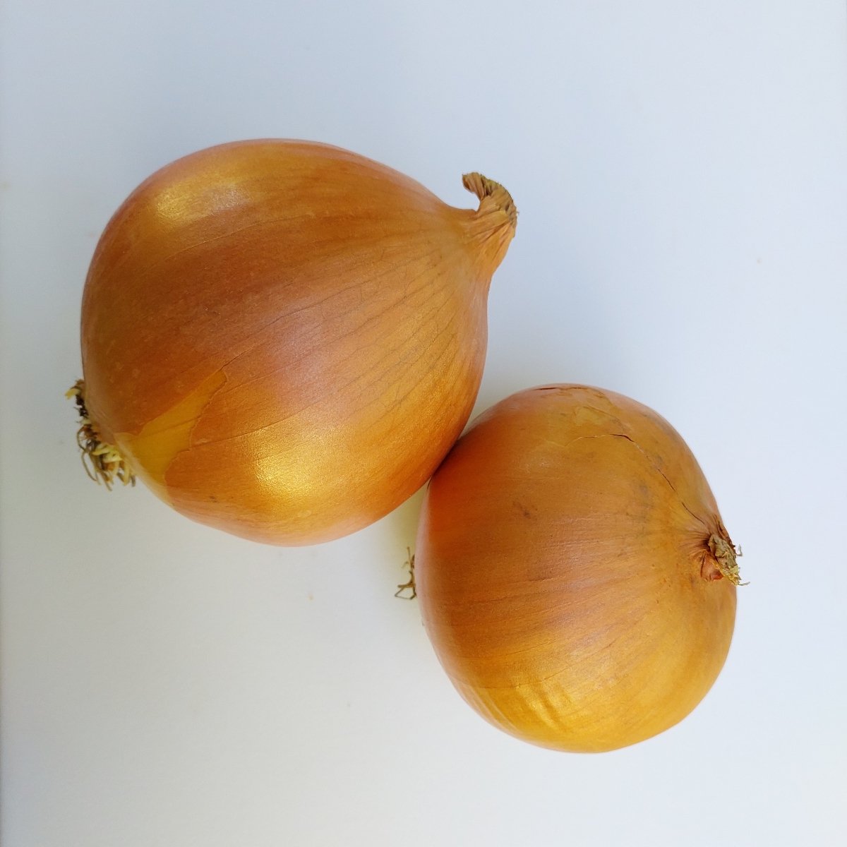 Avaliações de Cebolas da Cebolas | abillion