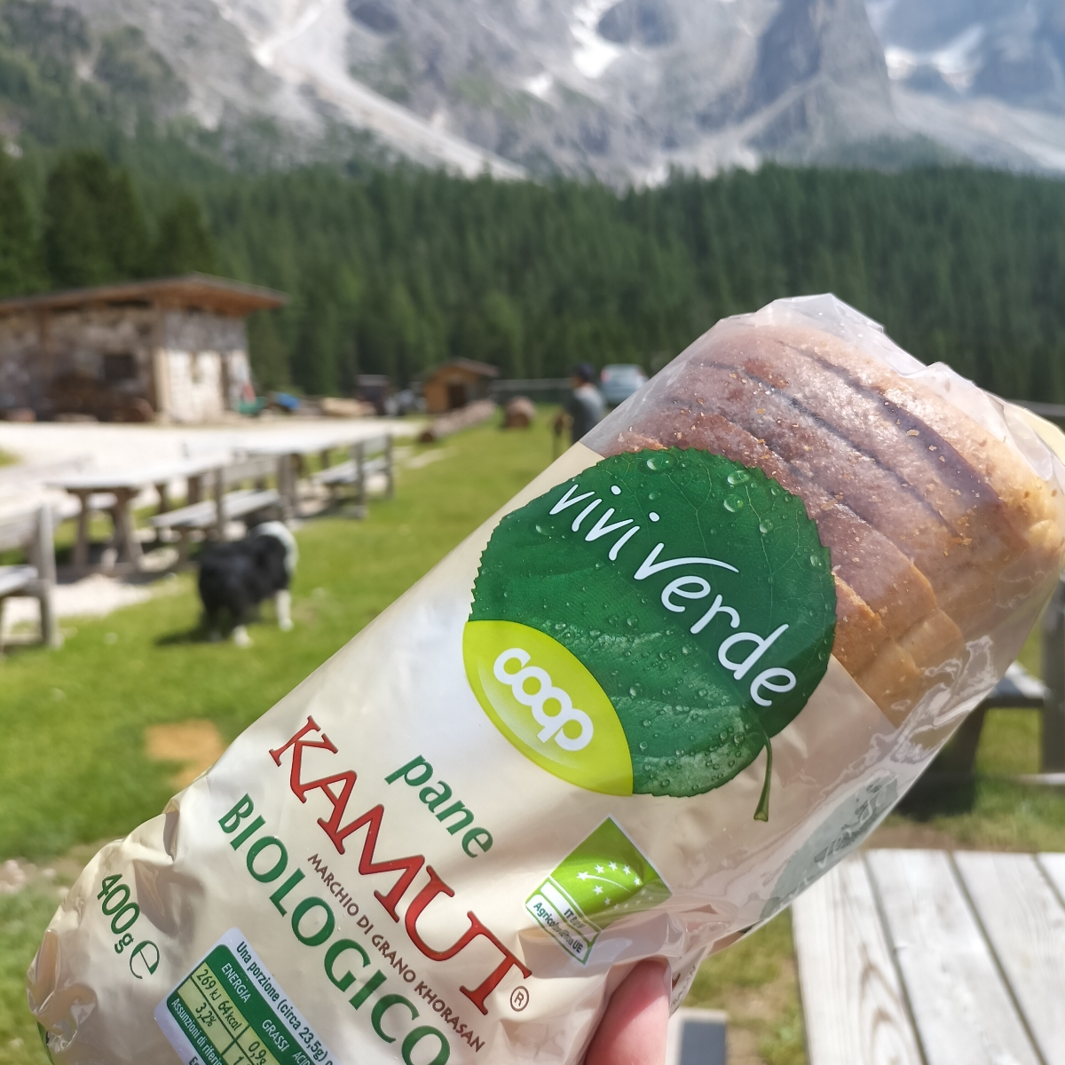 Vivi Verde Coop - Pane Kamut biologico Review | abillion