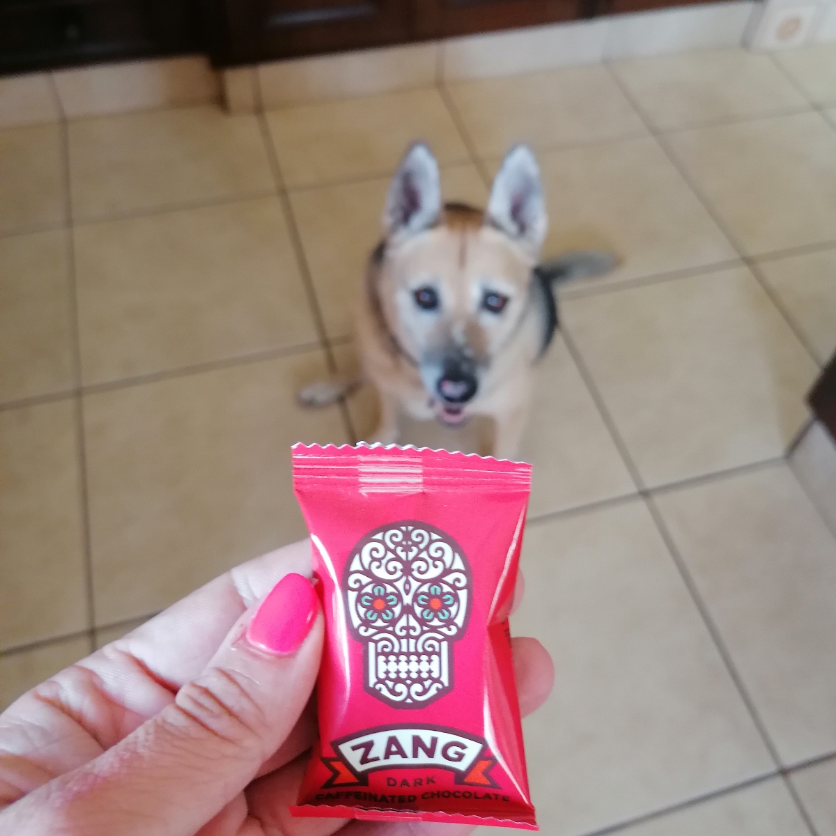 Dark Caffeinated Chocolate from Zang - Vegan Product Reviews & Ratings ...