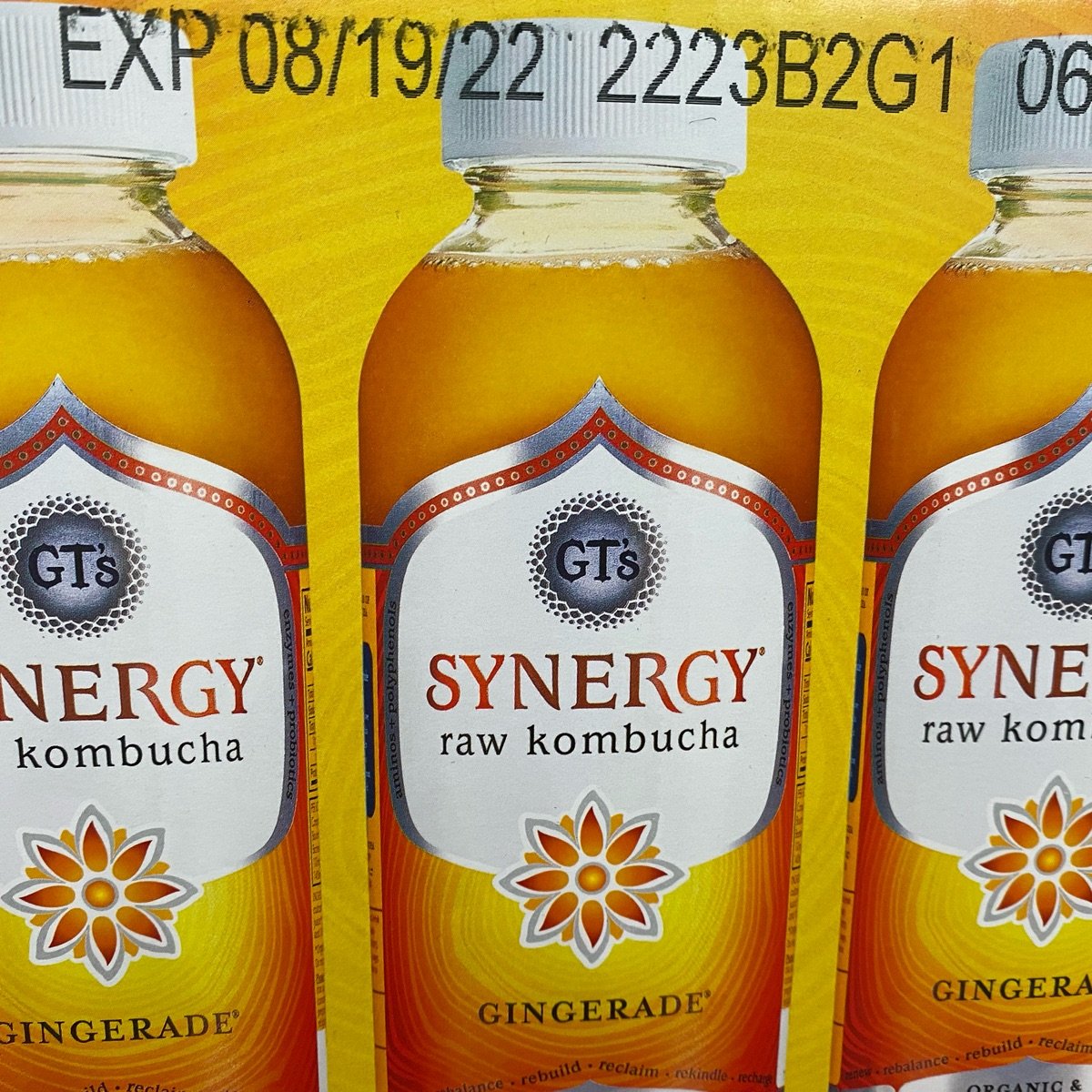 raw kombucha from GT’s Living Foods - Vegan Product Reviews & Ratings ...