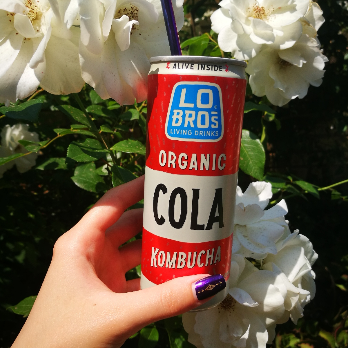 Cola flavoured Kombucha from Lo Bros - Vegan Product Reviews & Ratings ...