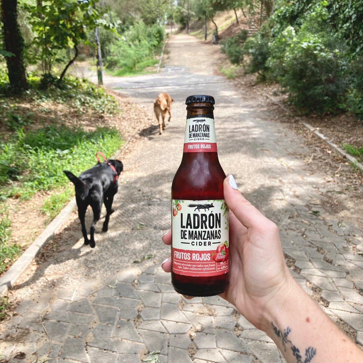 Sidra frutos rojos from Ladrón de Manzanas - Vegan Product Reviews ...