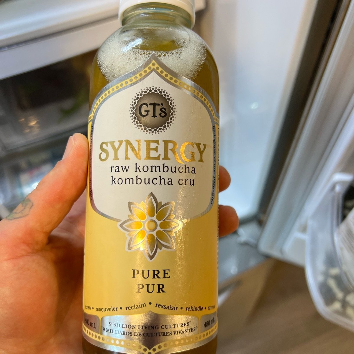 Synergy - Pure from GT’s Living Foods - Vegan Product Reviews & Ratings ...