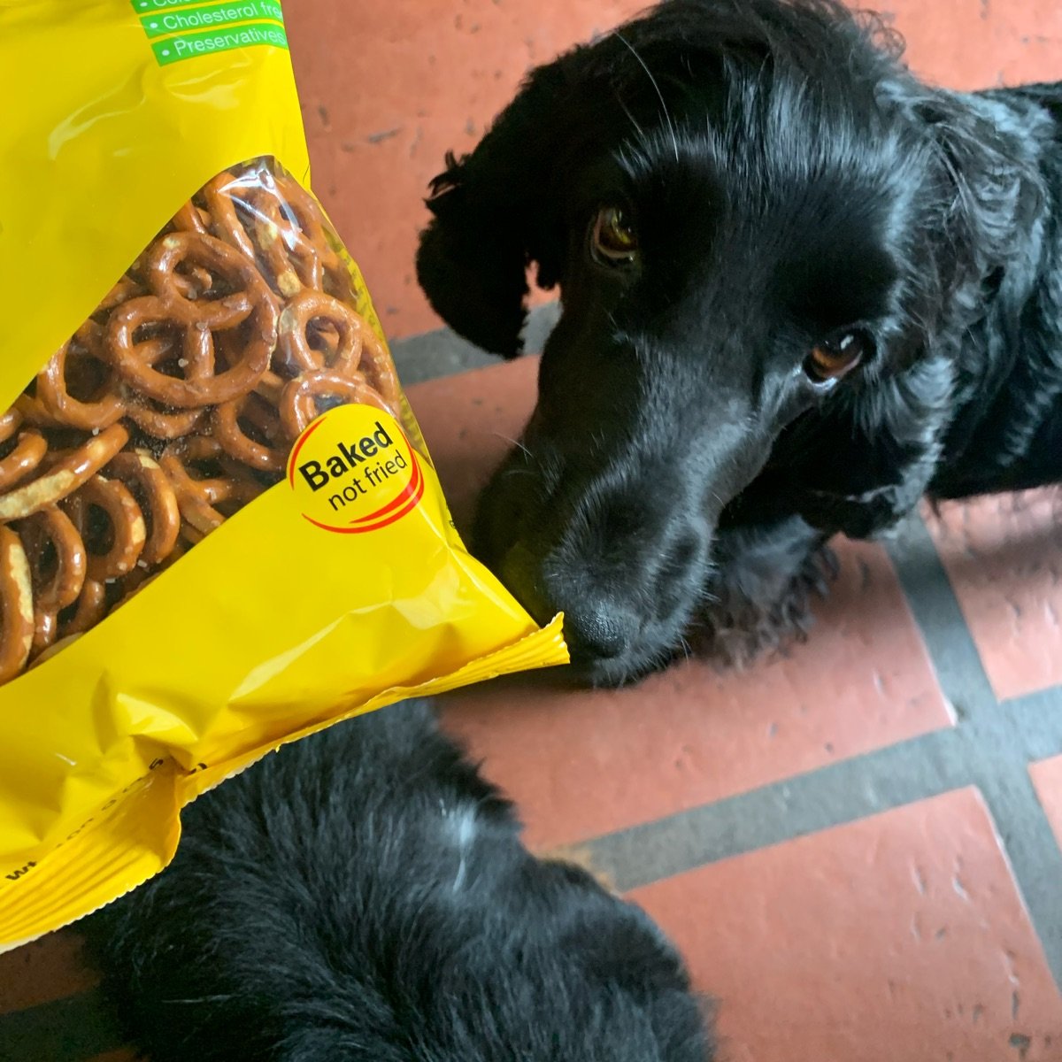 Pretzels from Beigel beigel - Vegan Product Reviews & Ratings | abillion
