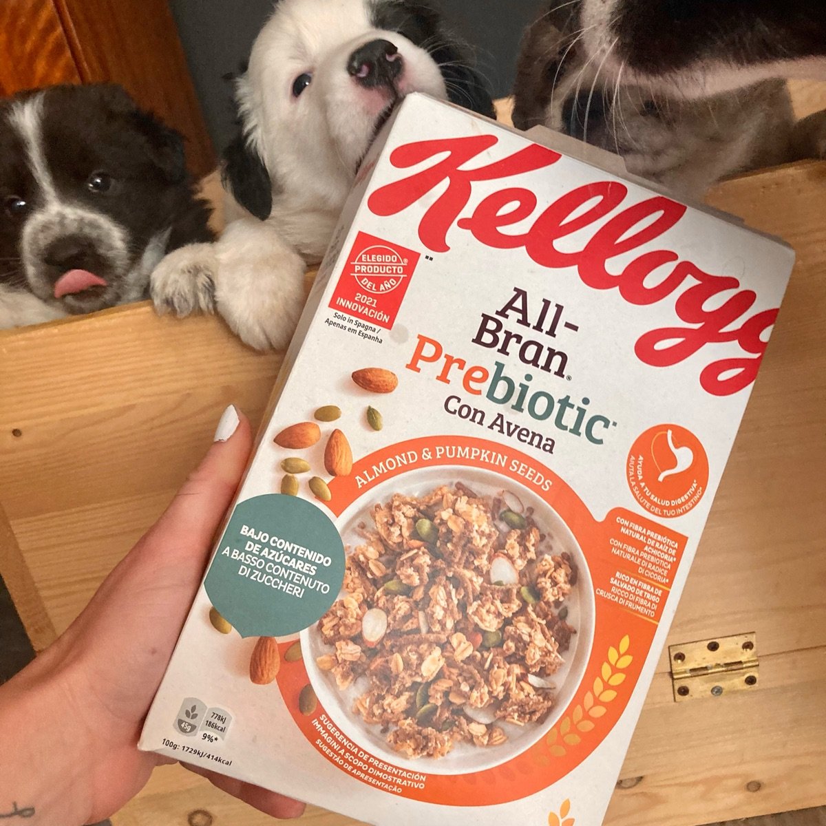 All bran prebiotic con avena from Kellogg's - Vegan Product Reviews ...