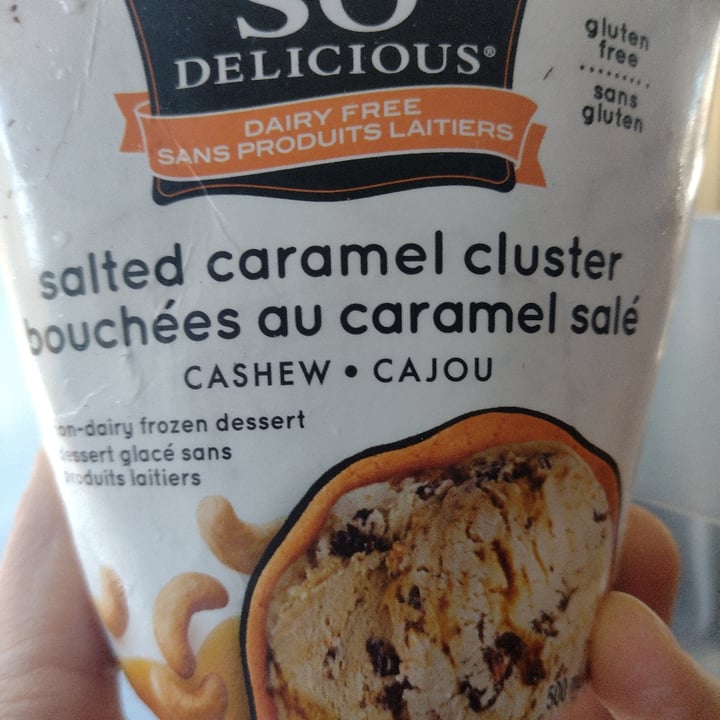 So Delicious Dairy Free Salted caramel cluster Review | abillion