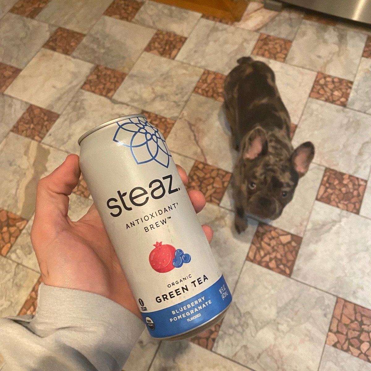 Blueberry Pomegranate Green Tea from Steaz - Vegan Product Reviews ...