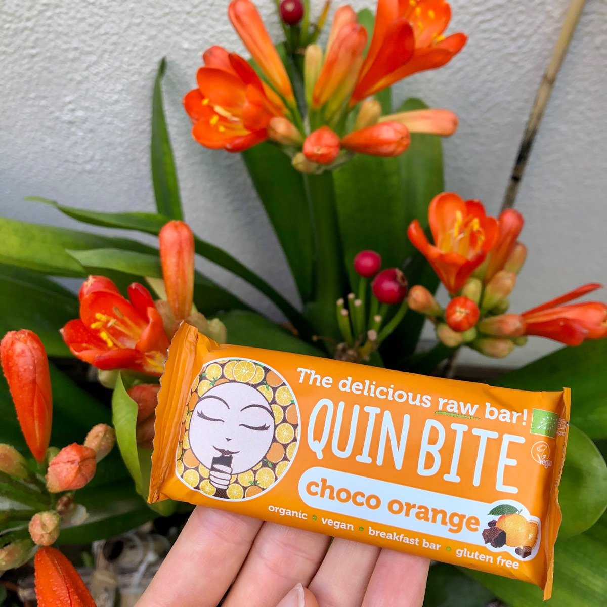 Choco Orange from Quin Bite - Vegan Product Reviews & Ratings | abillion