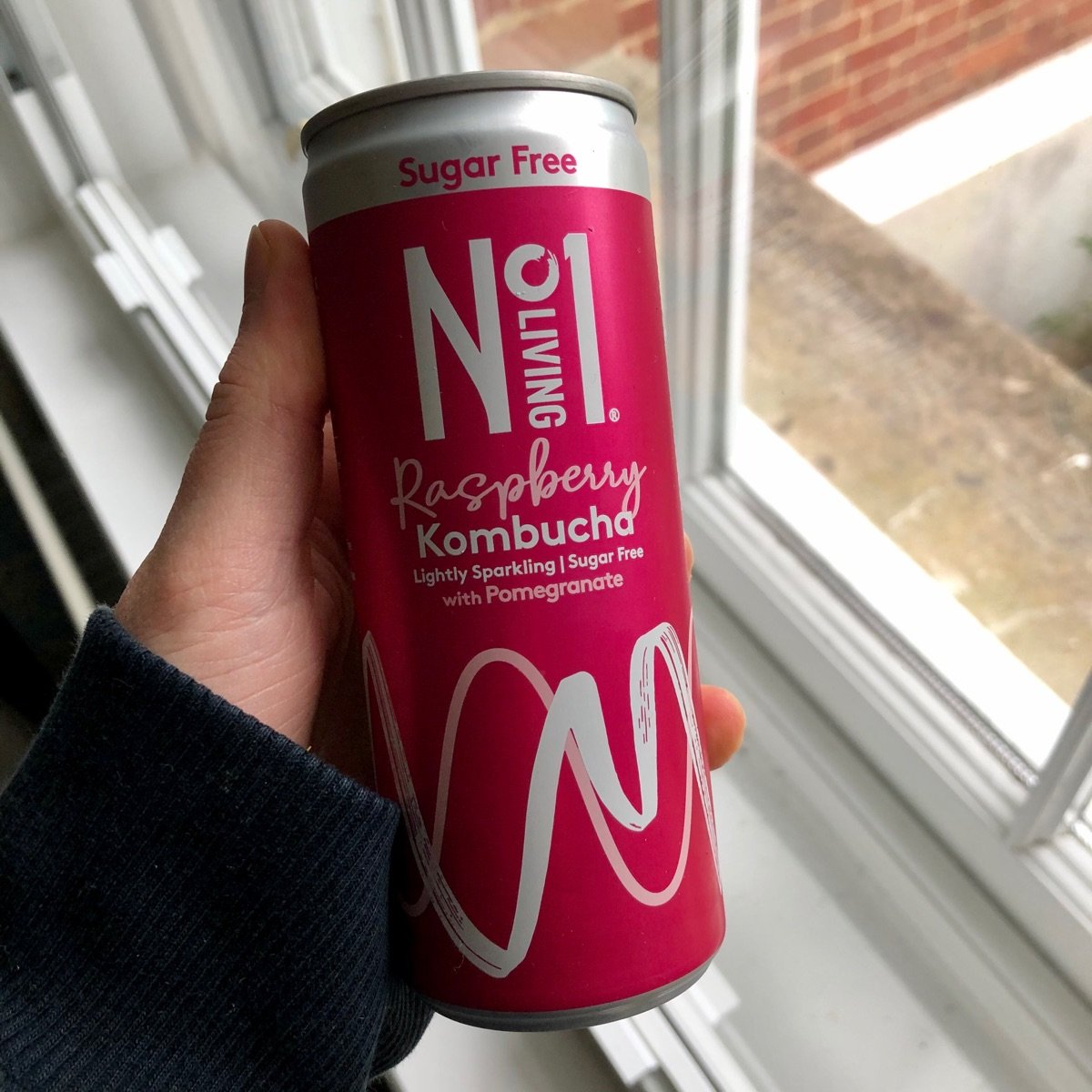 Raspberry Kombucha from No. 1 Living - Vegan Product Reviews & Ratings | abillion