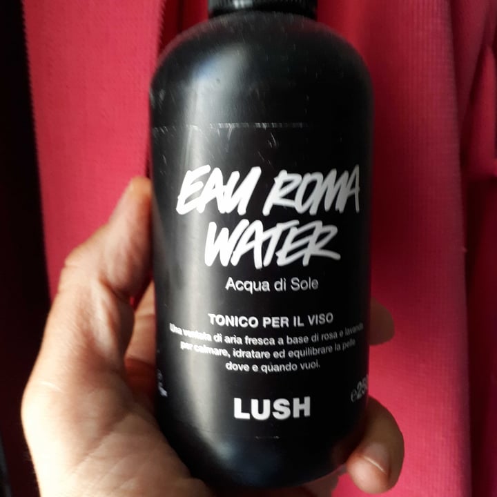 LUSH Fresh Handmade Cosmetics Eau Roma Water Review | abillion