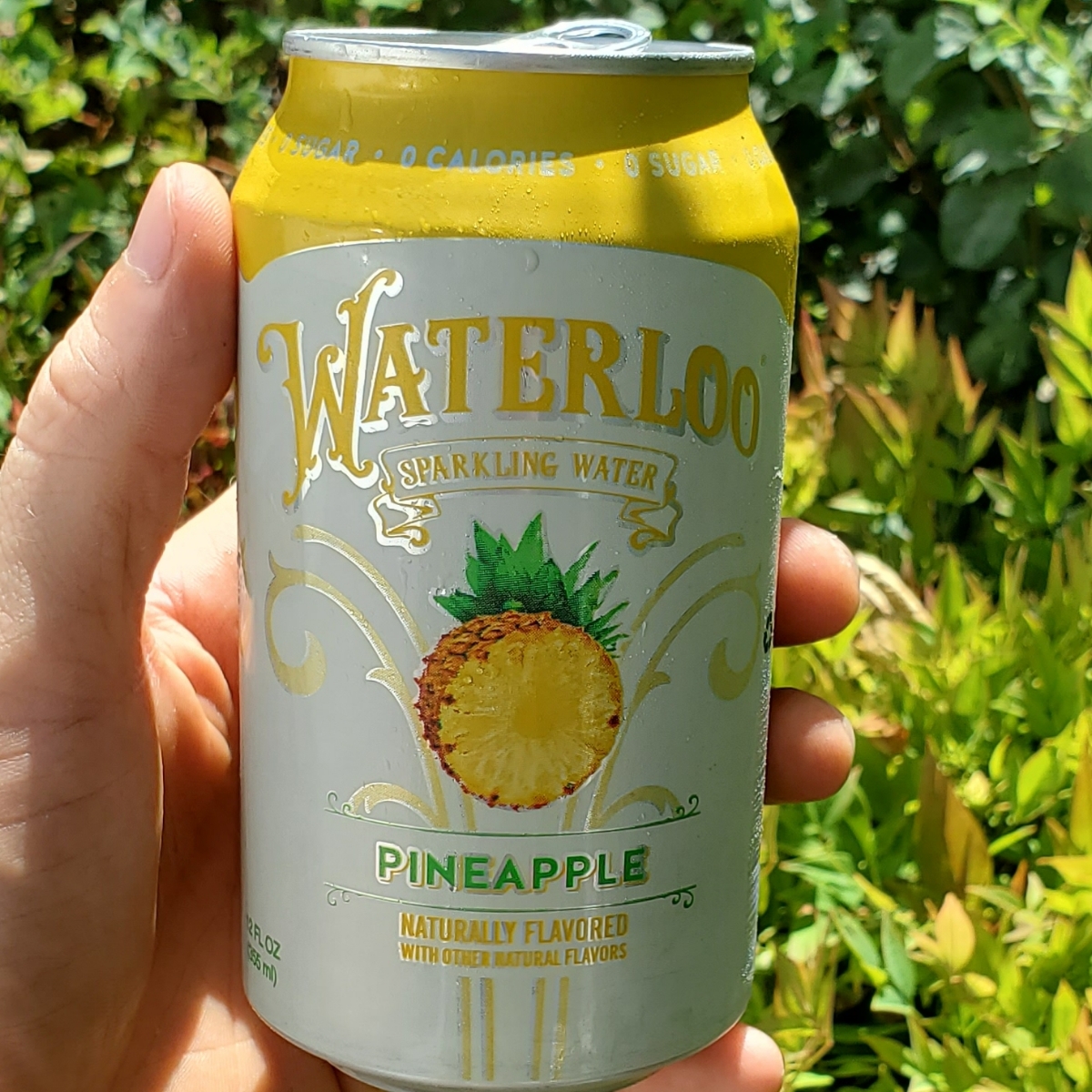 Pineapple sparkling water from Waterloo - Vegan Product Reviews ...