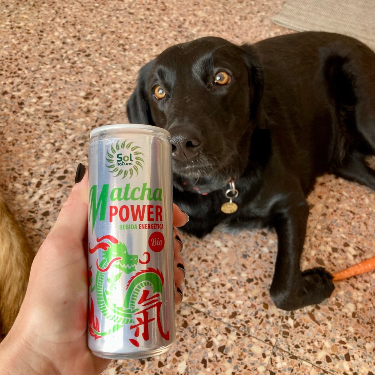 Matcha Power Bio from Sol Natural - Vegan Product Reviews & Ratings ...