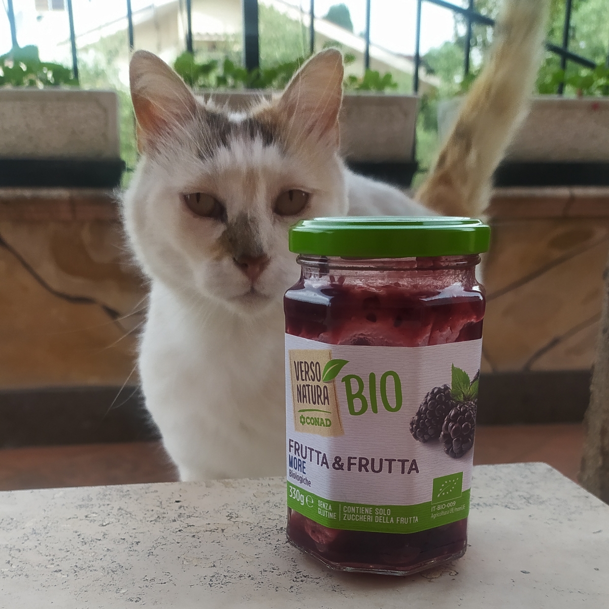 Frutta & frutta - more from Verso Natura Conad Veg - Vegan Product ...