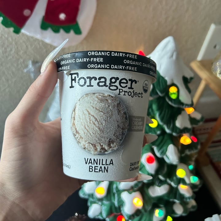Forager Project Vanilla Bean Ice Cream Review | abillion