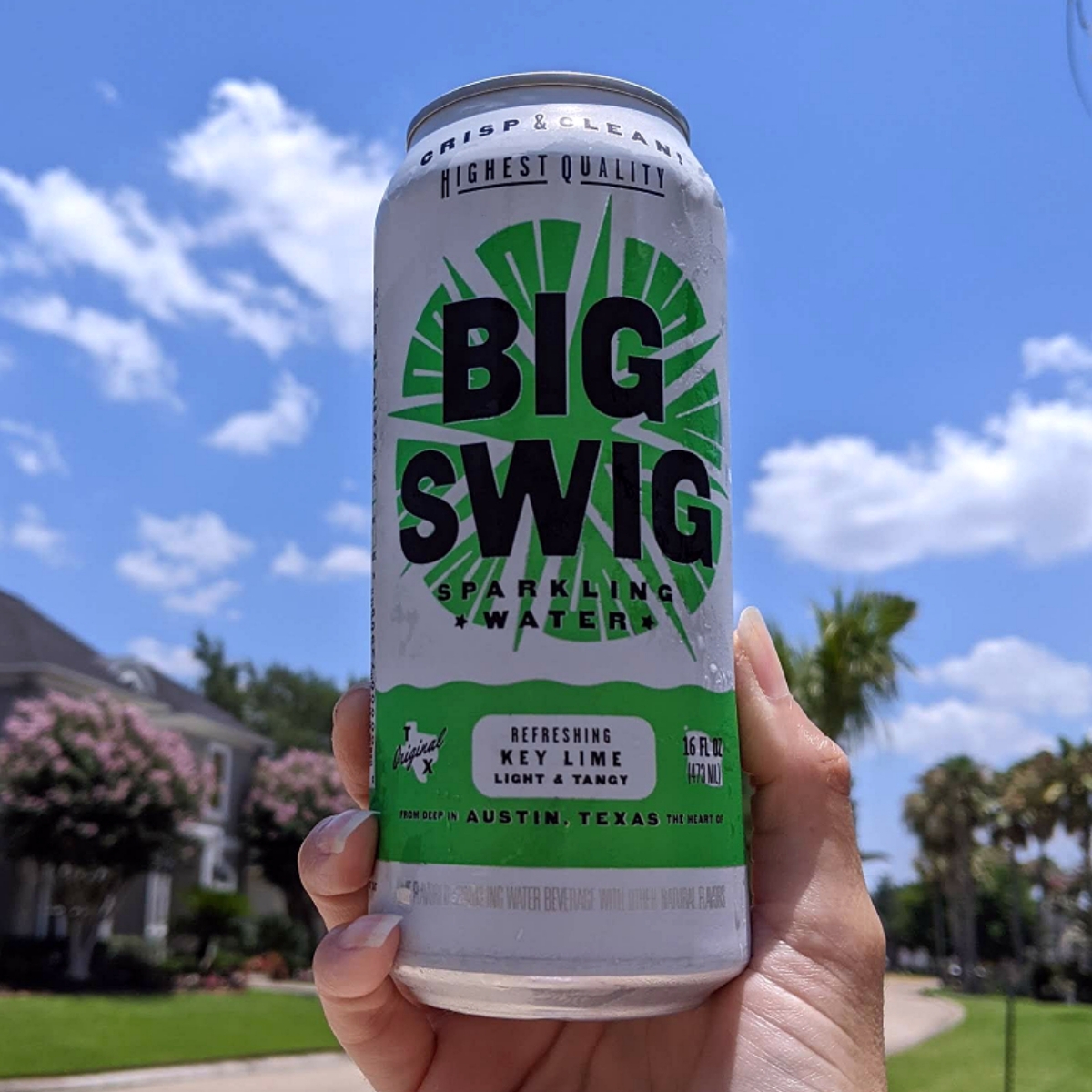 BIG SWIG Key lime Reviews | abillion