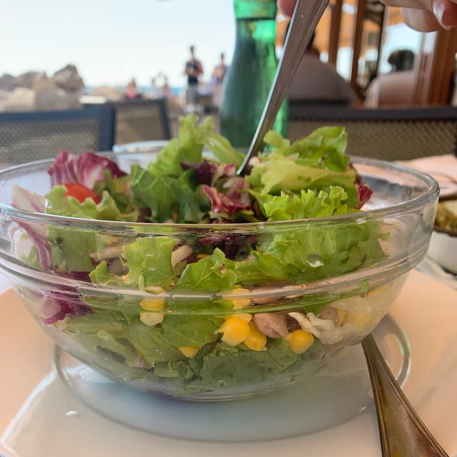 Restaurant tri vdove Piran, Piran – Top Rated Vegan Dishes & Reviews ...
