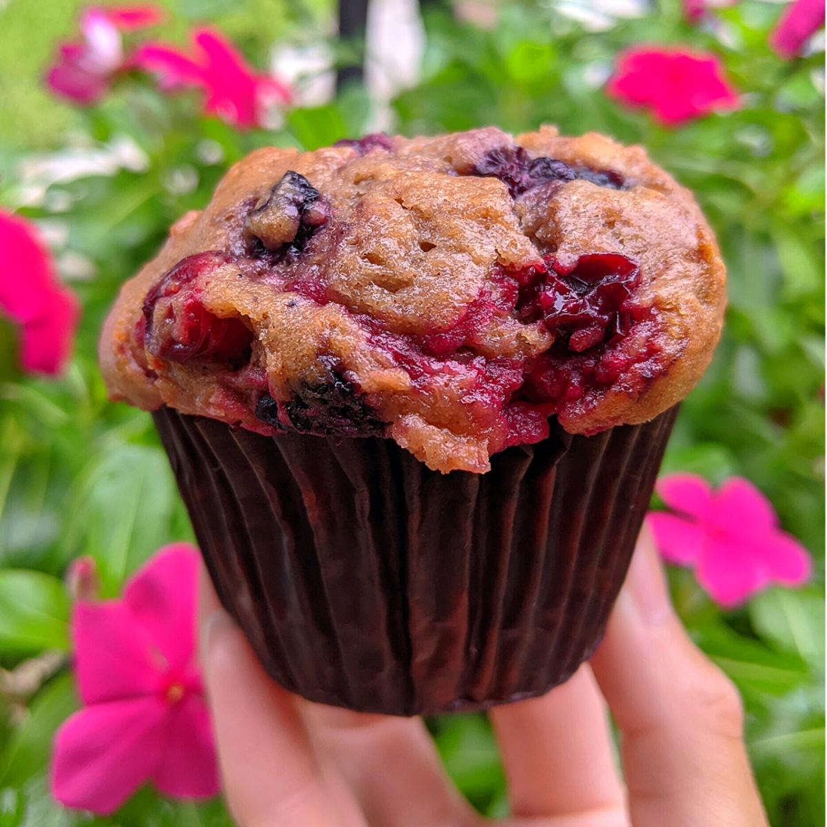 Vegan Superfruit Muffin from Sprouts Farmers Market - Vegan Product ...