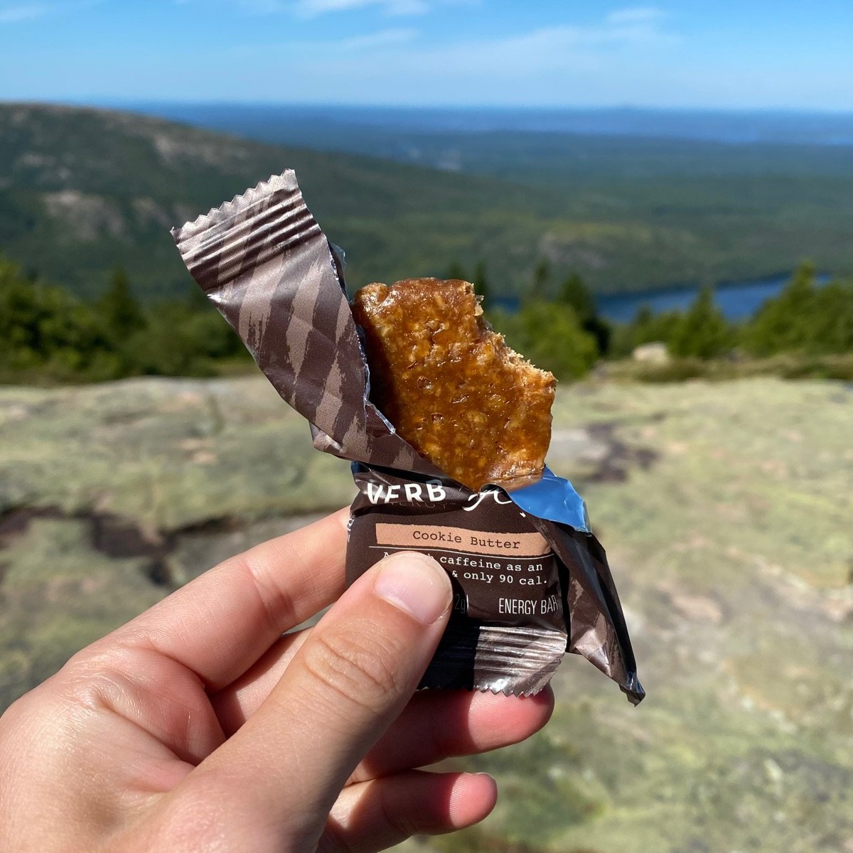 Cookie Butter Bar From Verb Energy Vegan Product Reviews Ratings cookie-butter-bar-from-verb-energy-vegan-product-reviews-ratings