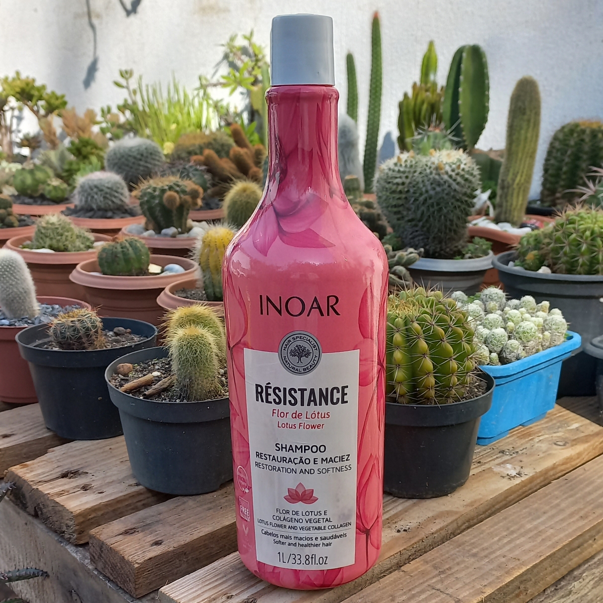 Shampoo flor de lótus from Inoar - Vegan Product Reviews & Ratings ...