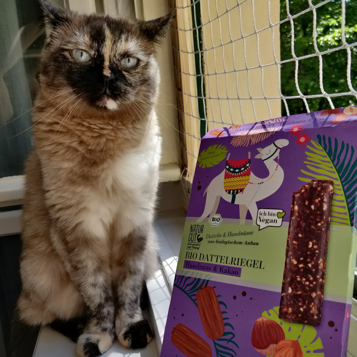 Natur Gut - Dattelriegel Kakao-Haselnuss Review | abillion