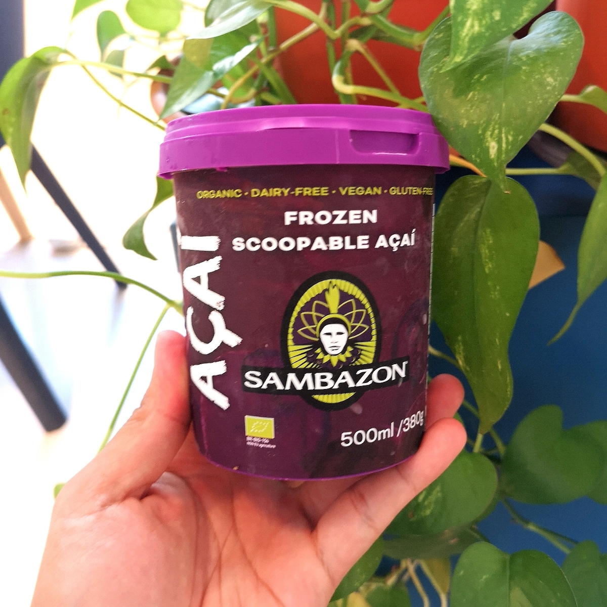 Frozen Scoopable Acai from Sambazon - Vegan Product Reviews & Ratings ...