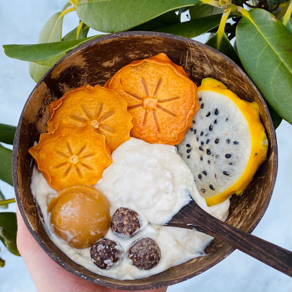 Dulce de Leche Yogurt from The Coconut Collaborative - Vegan Product ...