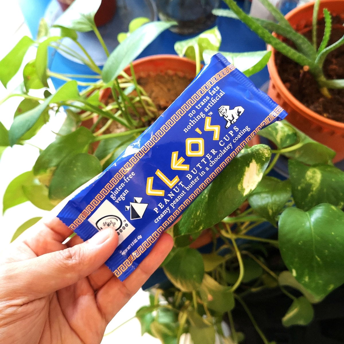 Cleo's Peanut Butter Cups from Go Max Go Foods - Vegan Product Reviews ...