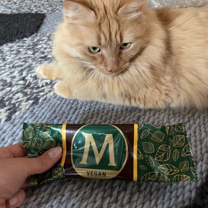 Magnum Dairy Free Sea Salt Caramel Review | abillion