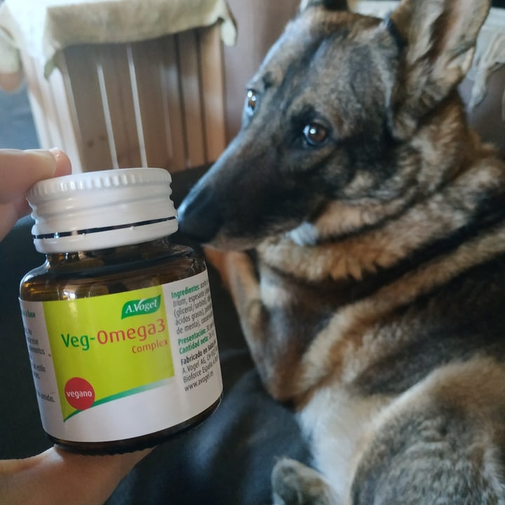 A. Vogel Reviews | abillion