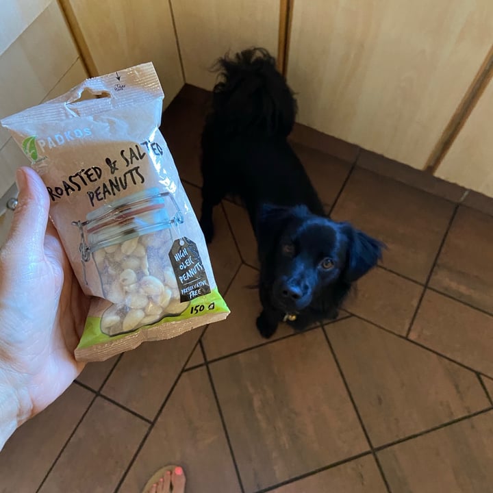 Padkos Roasted & Salted Peanuts Review | abillion