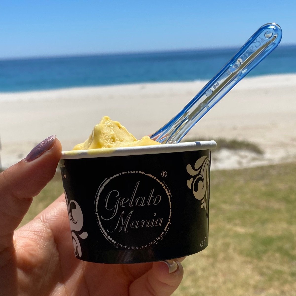 Mango Sorbet from Gelato mania - Vegan Product Reviews & Ratings | abillion