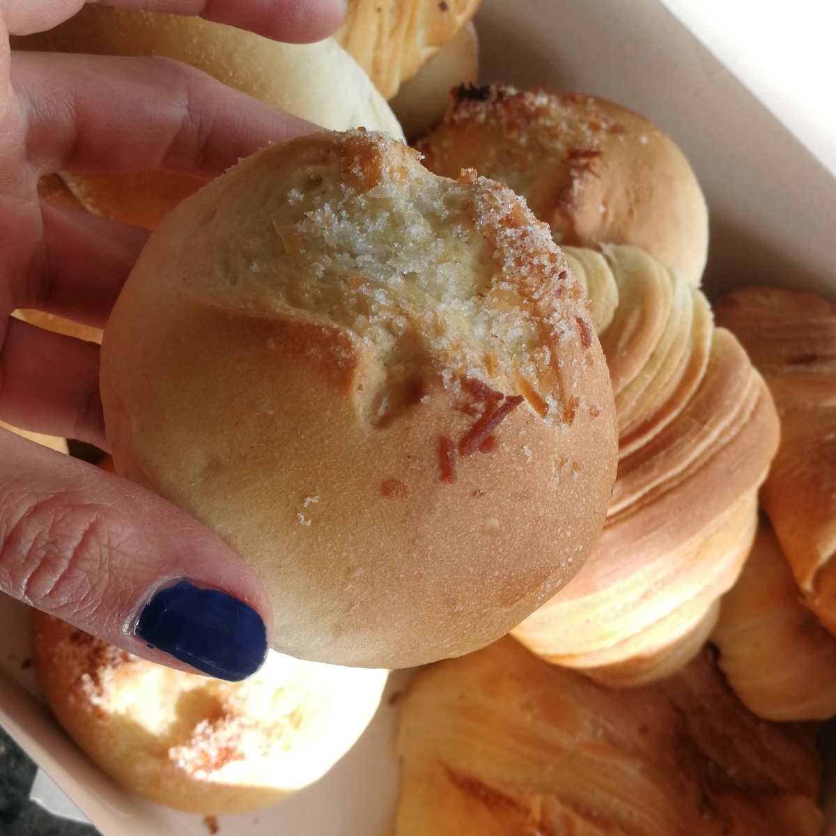 Pan coco from Panaderia.co - Vegan Product Reviews & Ratings | abillion