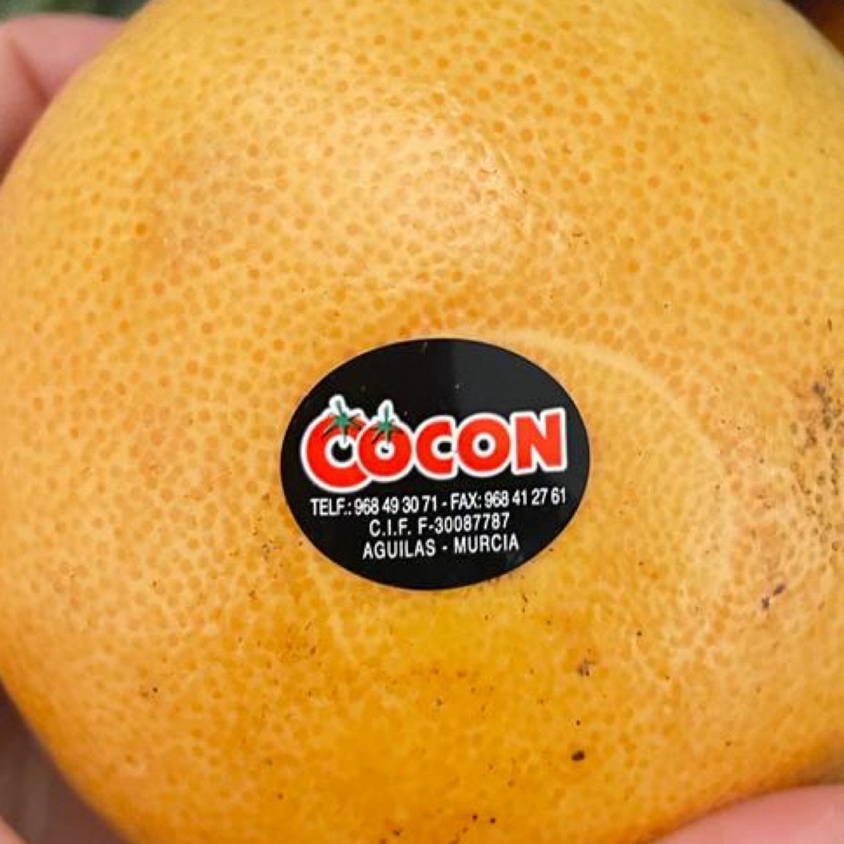 Pompelmo from Cocon fruit - Vegan Product Reviews & Ratings | abillion