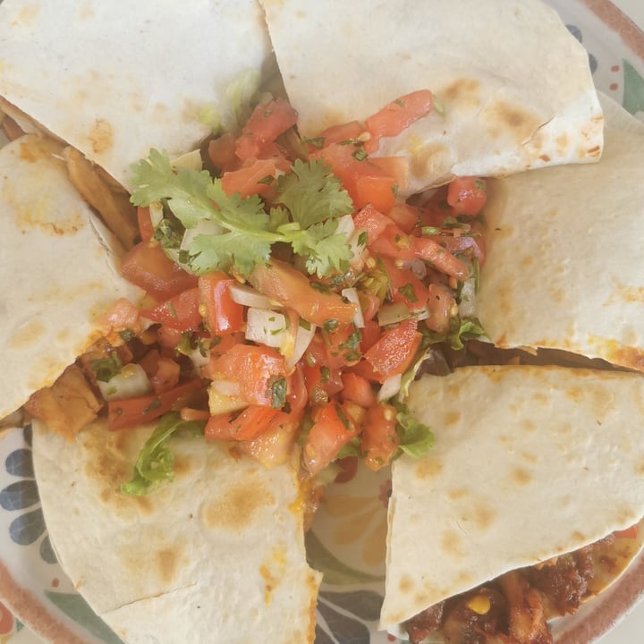 The Fat Cactus Mowbray Cape Town, South Africa Quesadilla - Annie ...