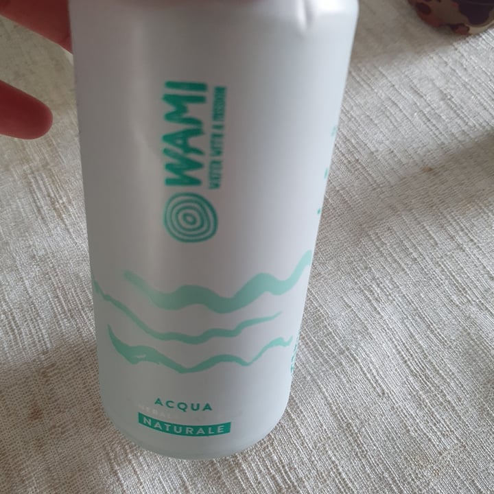 WAMI Water With A Mission Review | abillion