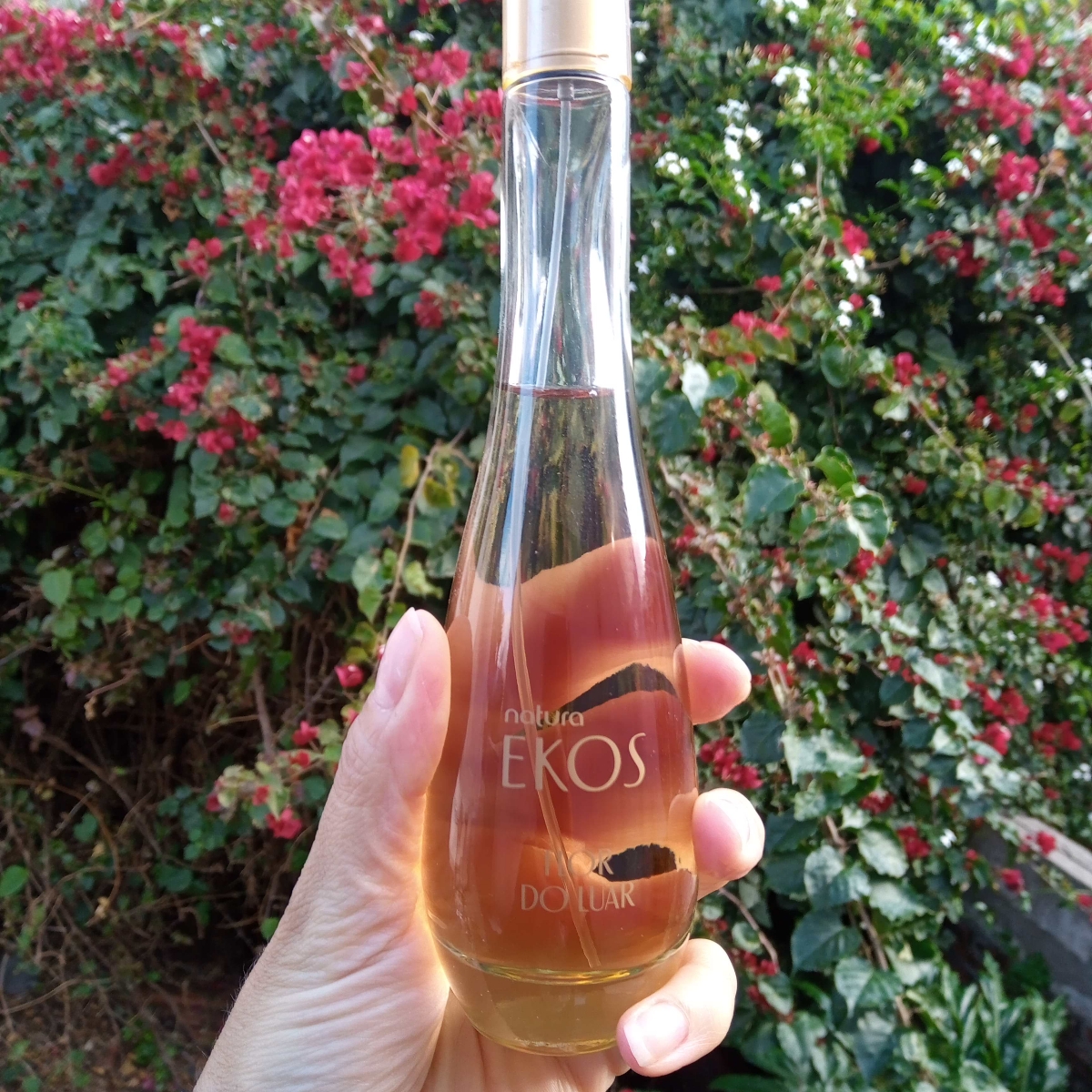 Flor Do Luar from Ekos personal care - Vegan Product Reviews & Ratings ...