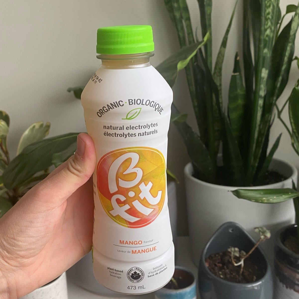 organic natural electrolytes drink - mango from B fit - Vegan Product ...