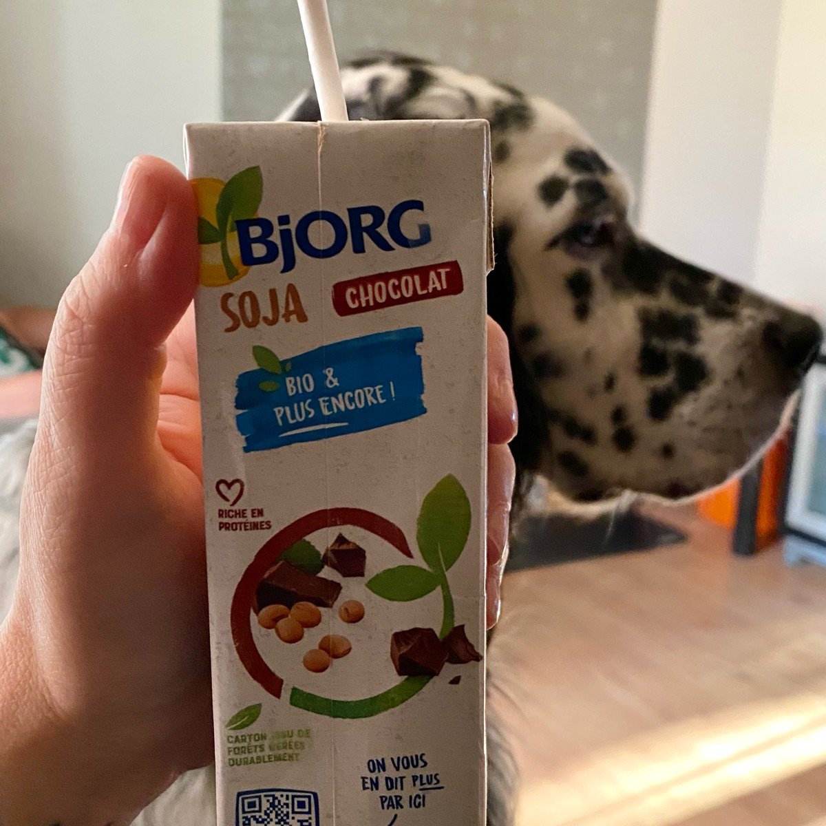 Soja Chocolat from Bjorg - Vegan Product Reviews & Ratings | abillion