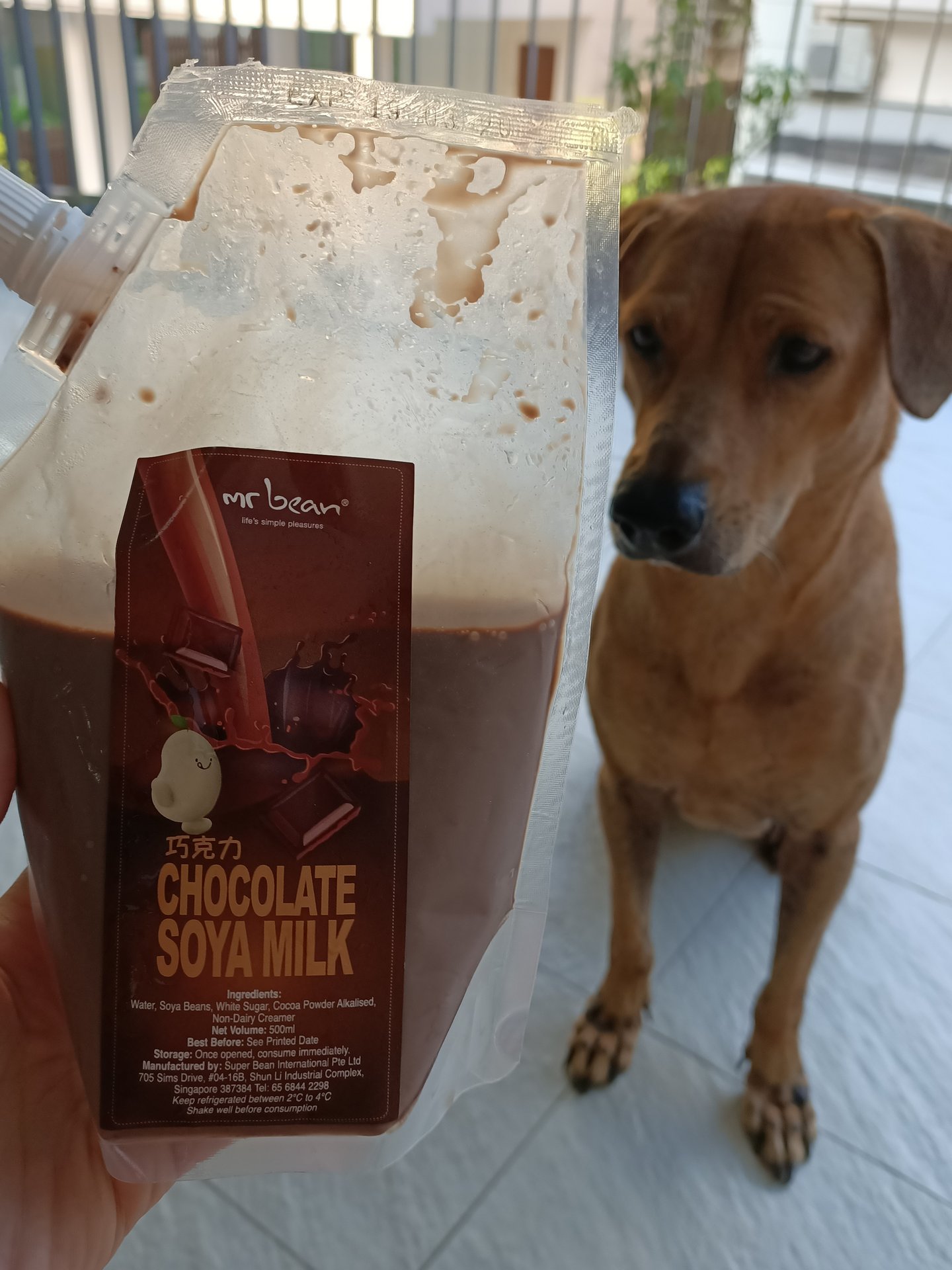 Chocolate Soya Milk from Mr Bean - Vegan Product Reviews & Ratings ...