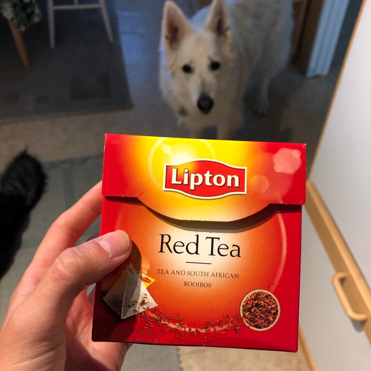 Lipton Lipton Red Tea Reviews | abillion