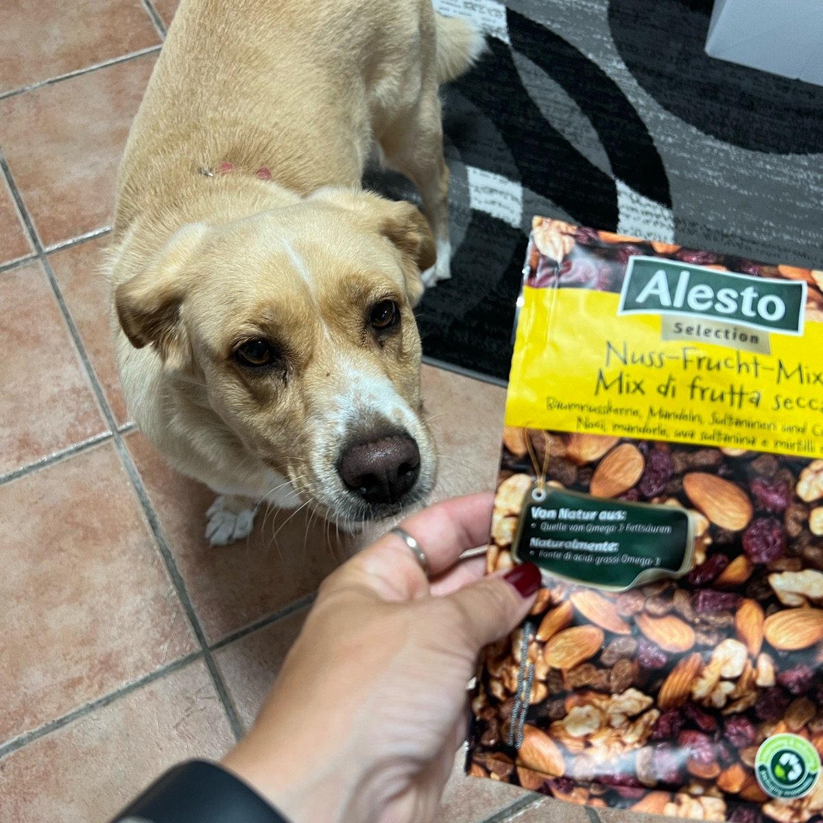 Mix di frutta secca from Alesto - Vegan Product Reviews & Ratings | abillion