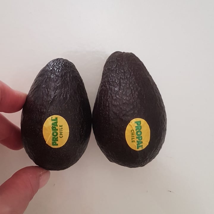 Propal Chile Palta Review | abillion