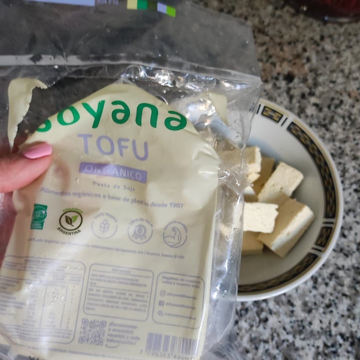 Soyana Tofu Organico Review | abillion
