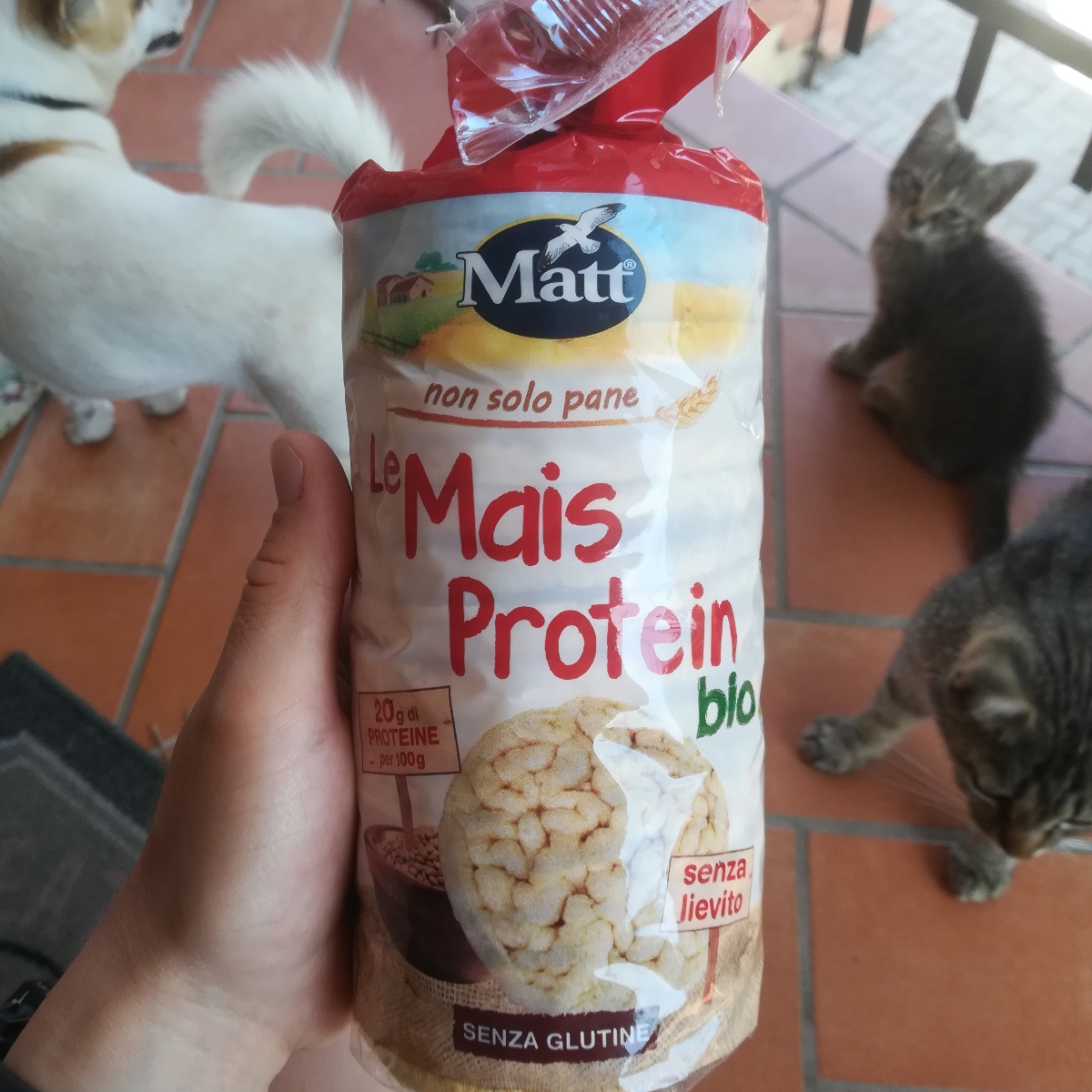 Le mais protein from Matt - Vegan Product Reviews & Ratings | abillion
